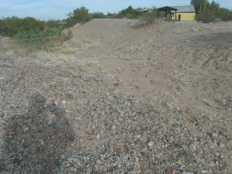 Archaeologists in Arizona discovered evidence of canals dug by an ...