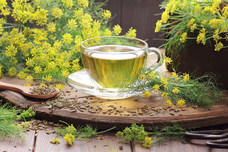 Stay Fresh: 9 Cooling Ingredients You Need Before Summer Ends