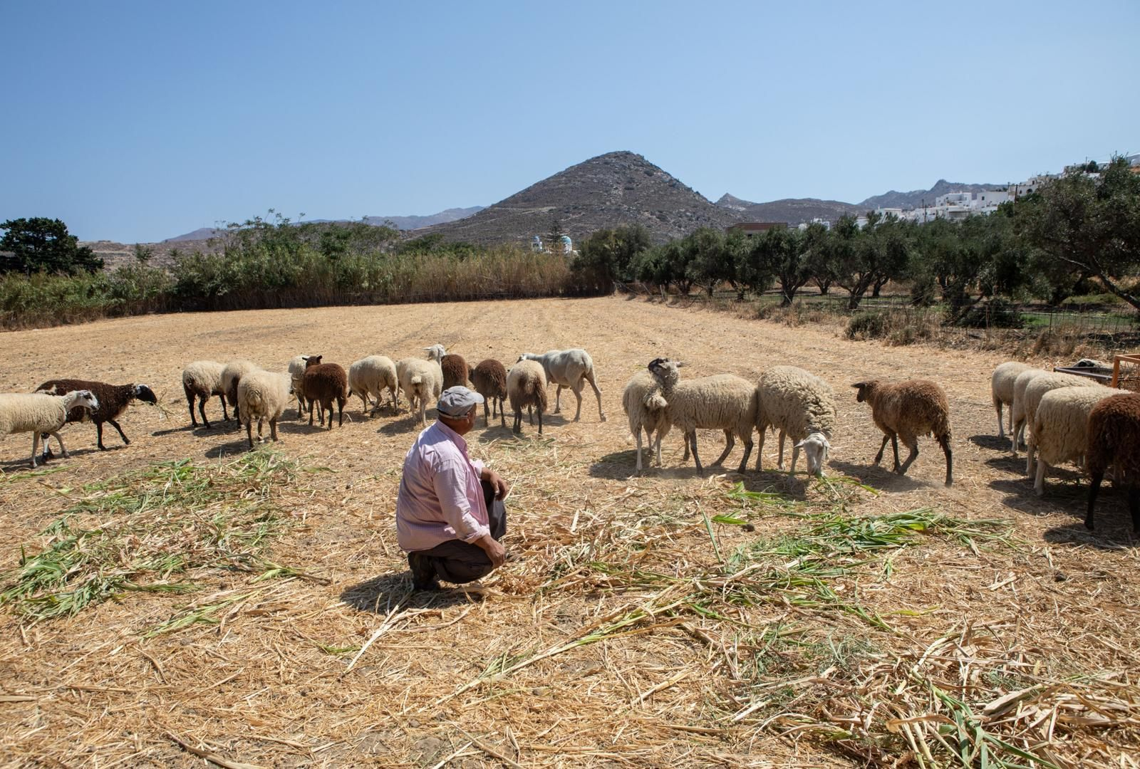 Περιγράφεται με απλά λόγια η υπόθεση διαφθοράς στον ΟΠΕΚΕΠΕ;