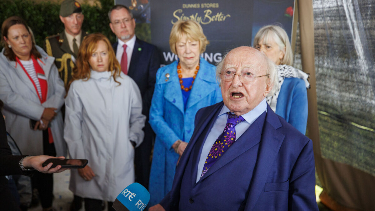 Taoiseach and President warn Ireland is target of Israeli propaganda ...