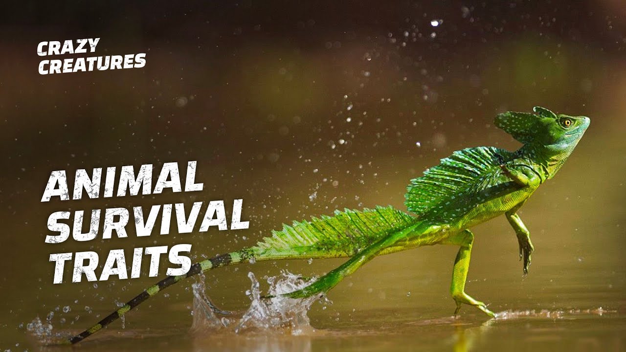 7 Animal Adaptations You Won’t Believe Exist