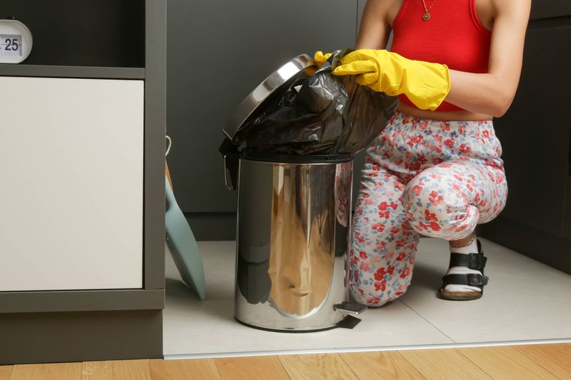 Rubbish bins will smell fresh in hot weather using one 'genius' natural ...