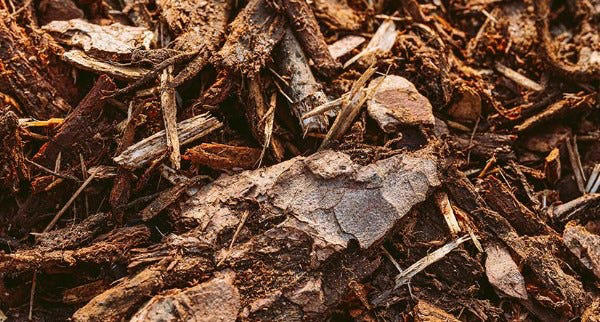 Campbell Vaughn: Why are you killing your plants? See what you're doing ...