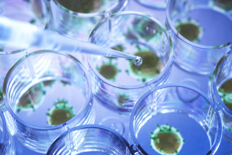 How the new Covid variant NB.1.8.1 affects immunity: What you need to know