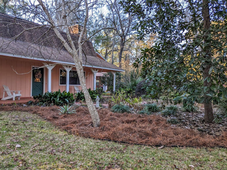 Everything you always wanted to know about mulch and more