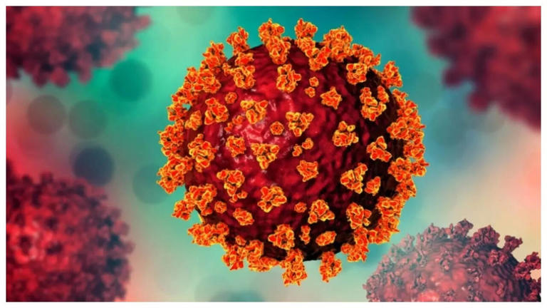 COVID-19 resurges: How THIS new symptom is key to XFG, NB.1.8.1, and LF ...