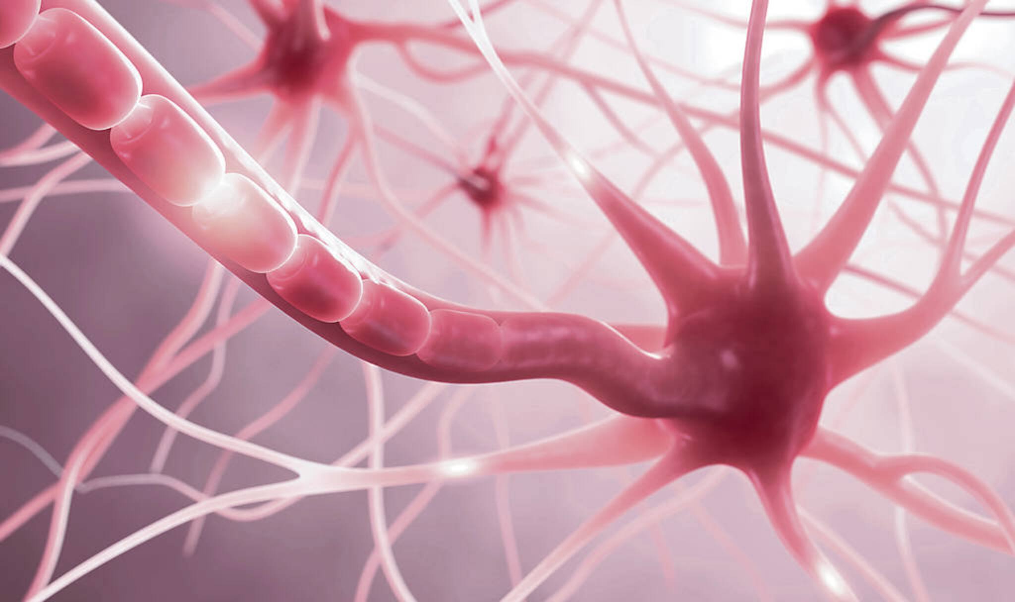 Multiple Sklerose: Symptome und Anzeichen von MS - wie ist die Krankheit wirklich?