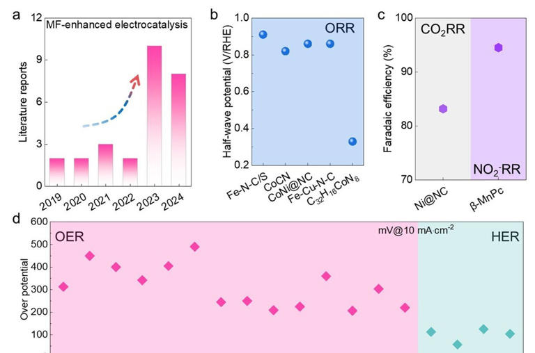 Single-atom catalysts change spin state when boosted by a magnetic field