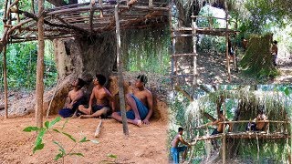 How to Build a Simple Treehouse with Ladders and Walls