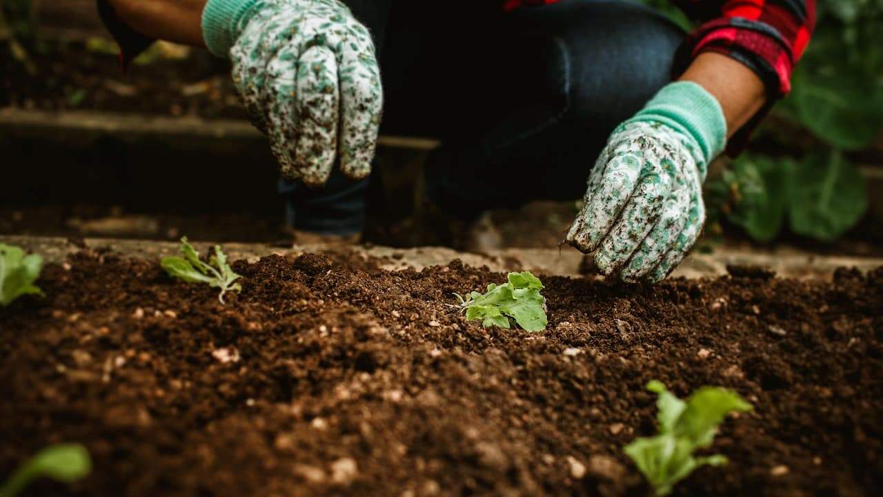 13 Garden Prep Tasks the Experts Never Skip