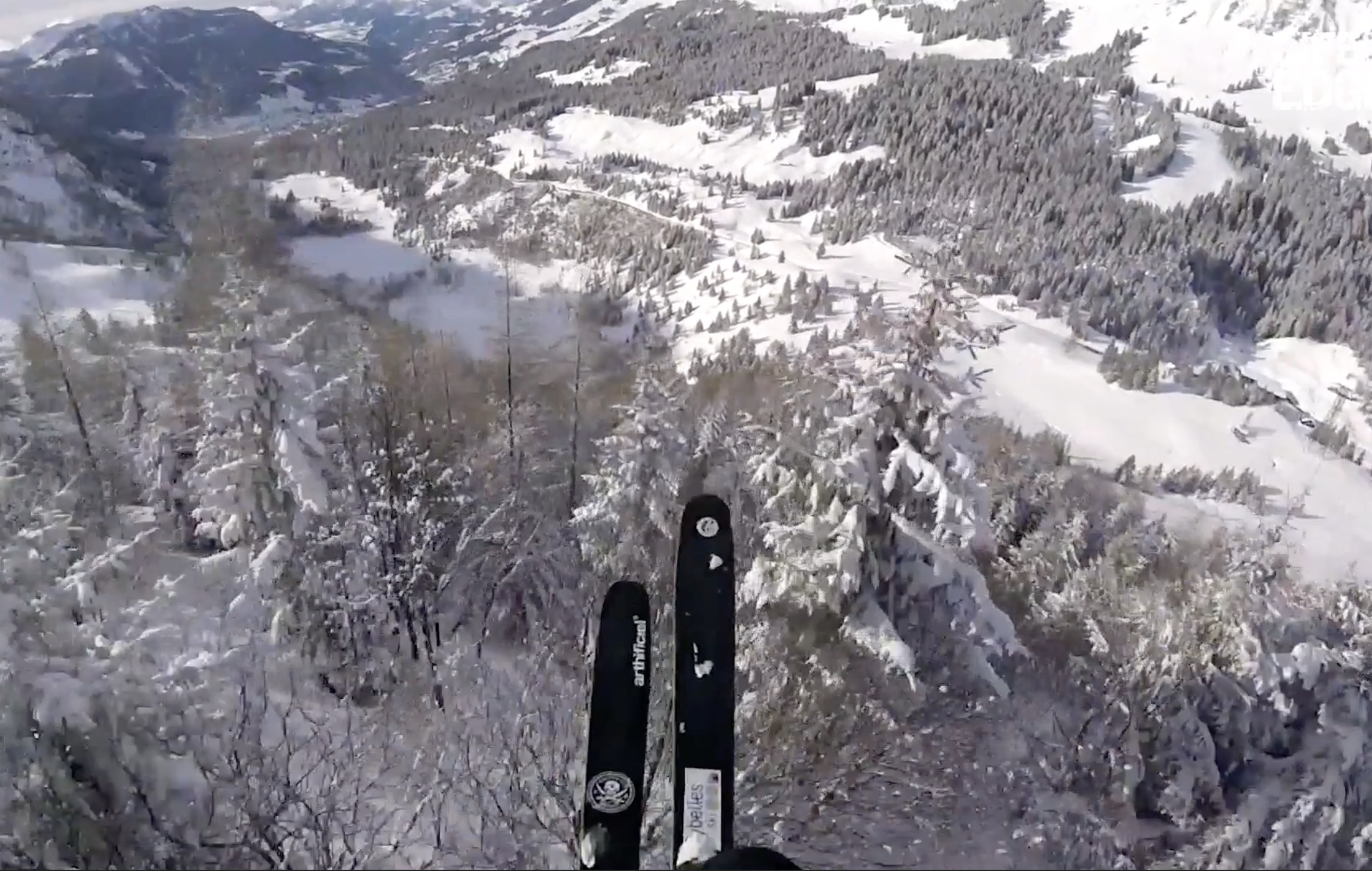 Daredevil Skims Snowy Trees in Jaw-Dropping High-Speed Flight