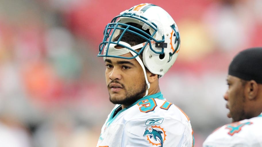 Number 97 and the Three Dolphins Who Wore It Best