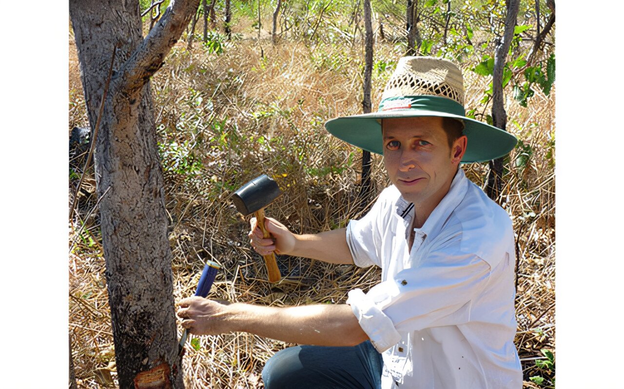 Warming climate may flip the script on the amount of CO₂ released by ...