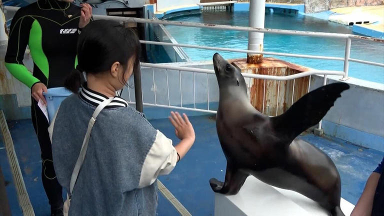 The history of the Audi logo: from script font to mergers and rings