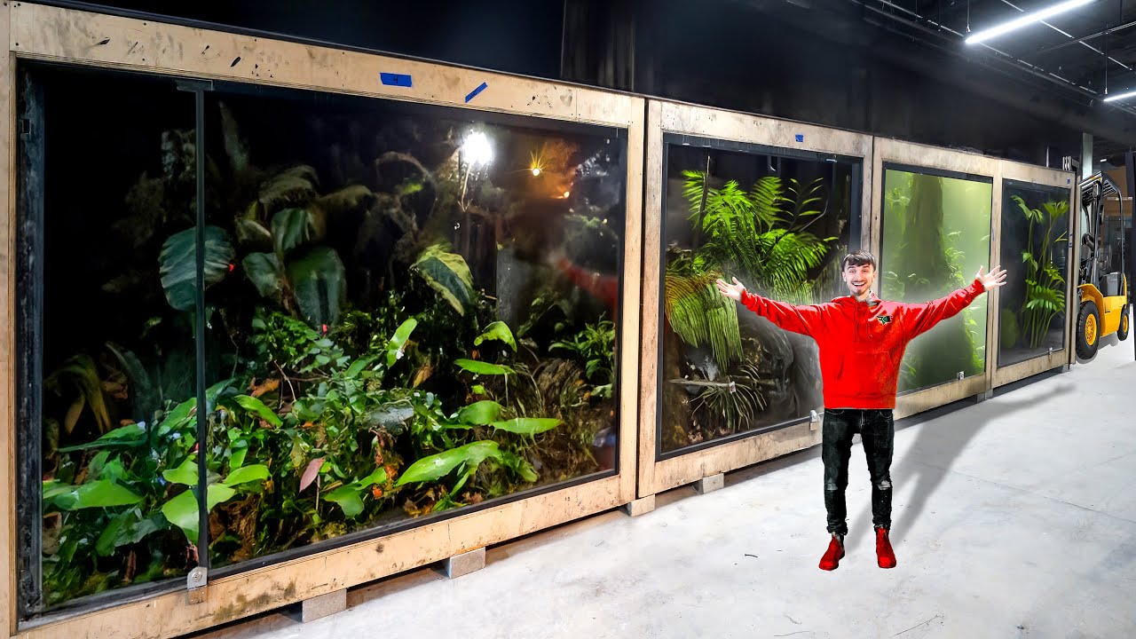 Moving our giant reptile enclosures!