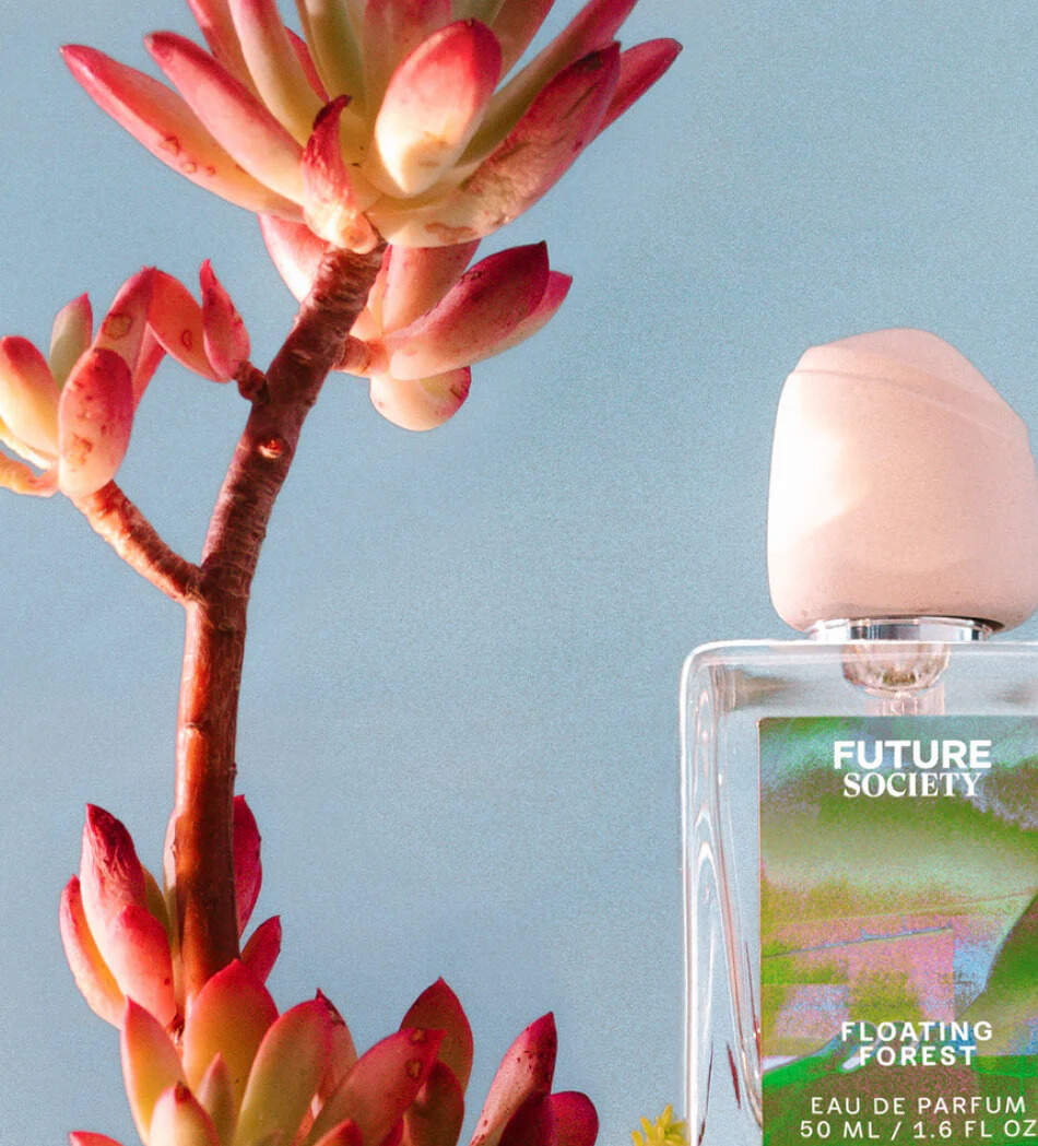 Smelling the impossible: How scientists are bottling the lost scents of extinct flowers