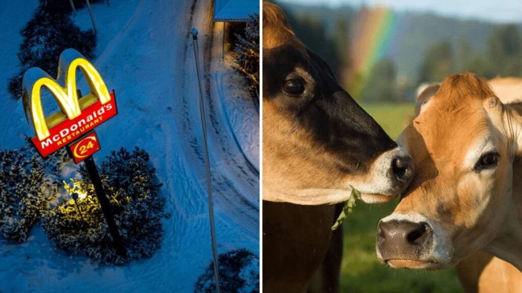 Random Facts You’ll Think About at 3 AM