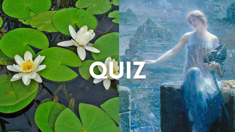 Trudny quiz z wiedzy ogólnej. Szczebrzeszyn i stopnie wojskowe. Jak ...