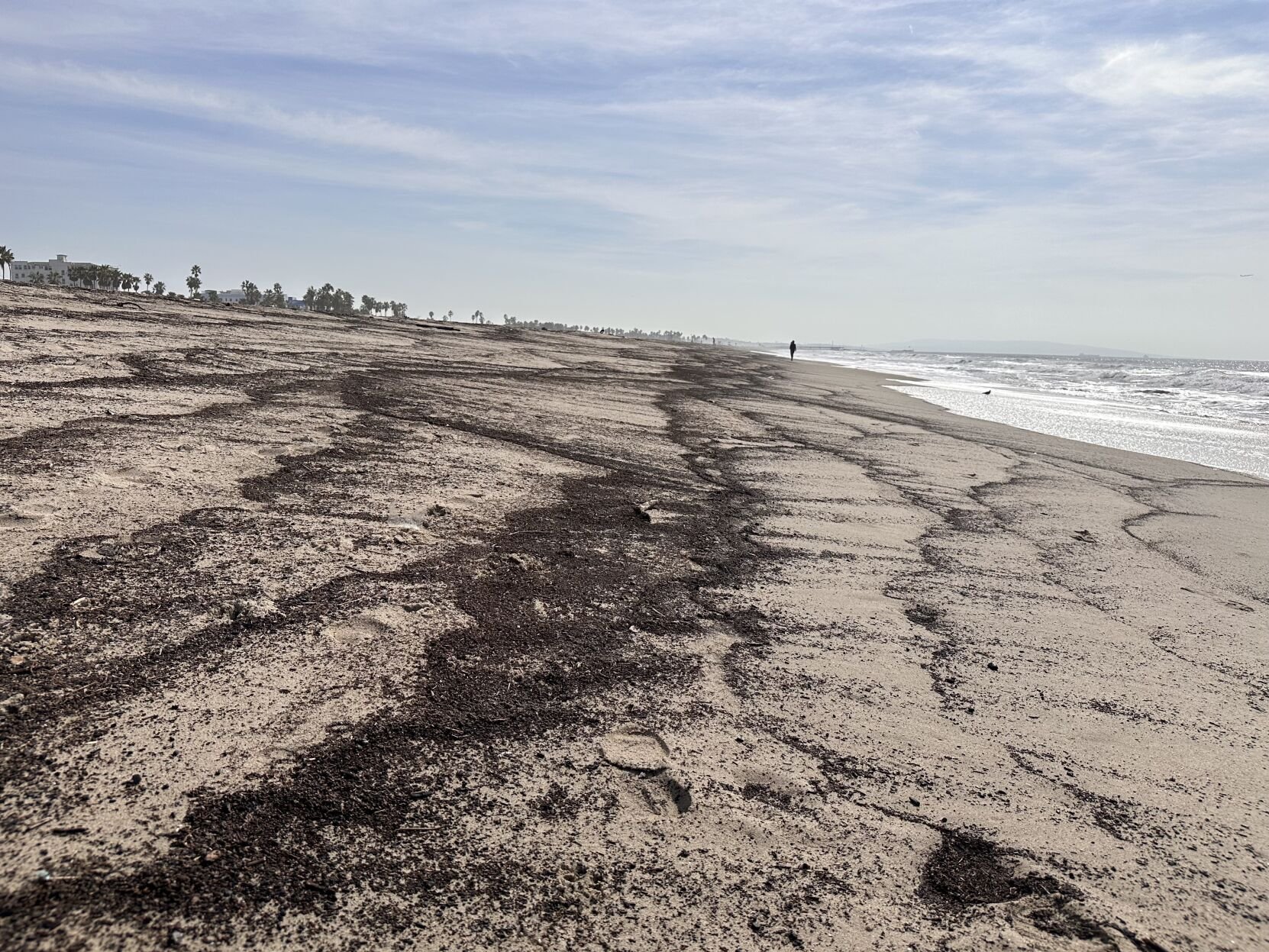 LA Beaches Reopen After Fire Debris Tests, But Questions Remain