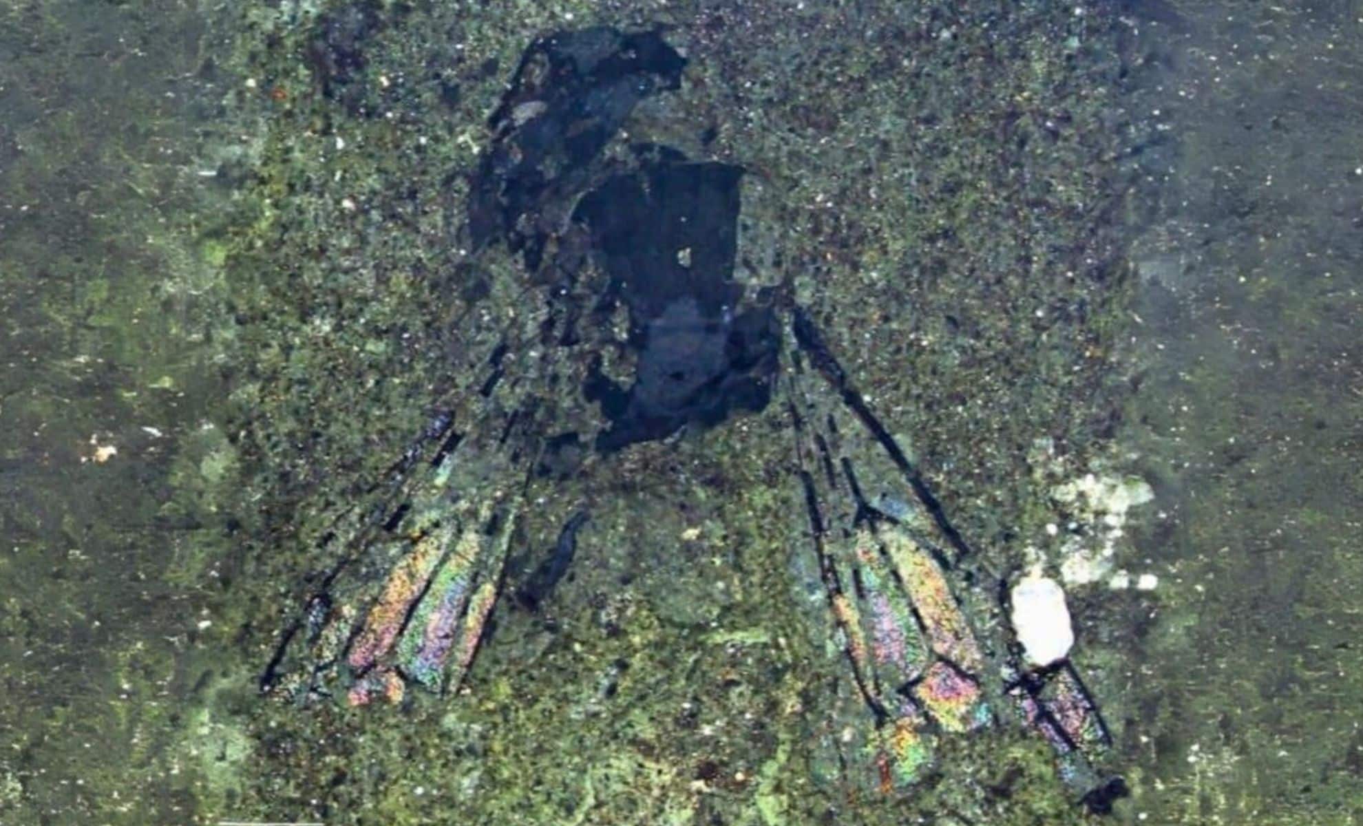 Scientists Unearth a Perfectly Preserved 14.6-Million-Year-Old “Bee ...