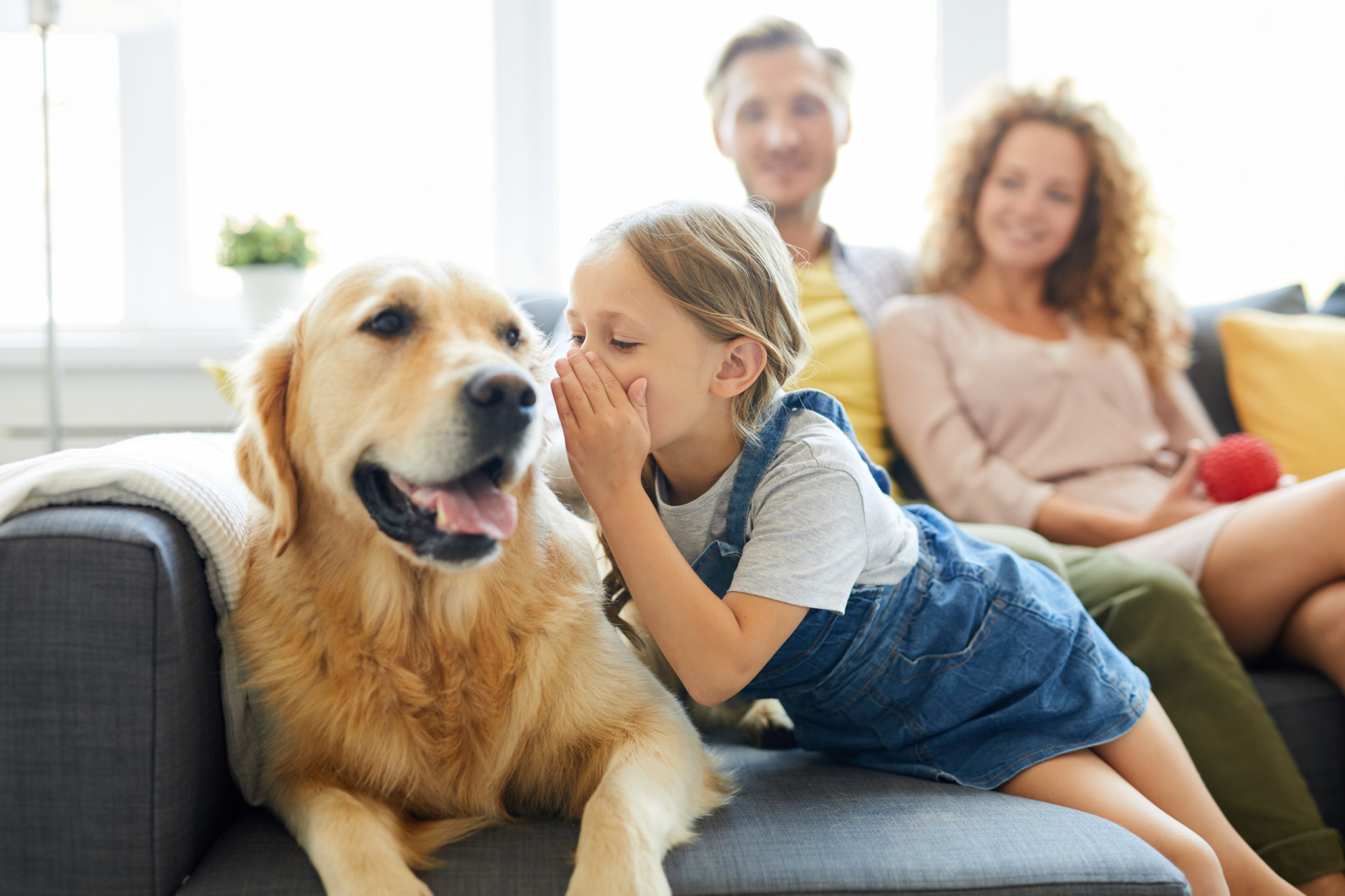 Can animals understand human language?