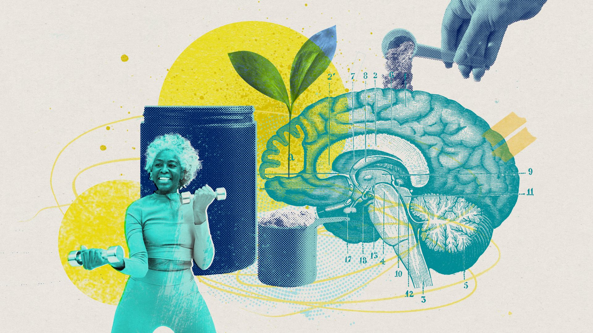 'Wonder drug': the potential health benefits of creatine