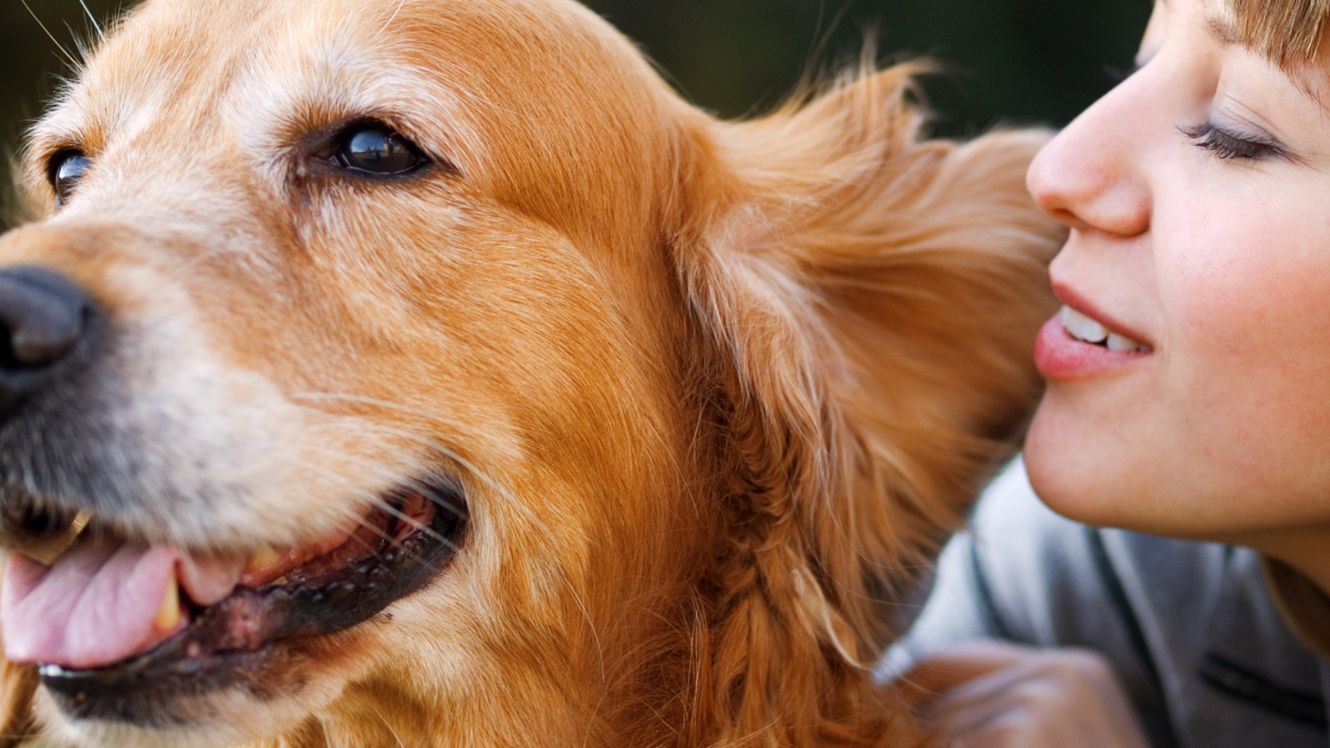 Can animals understand human language?