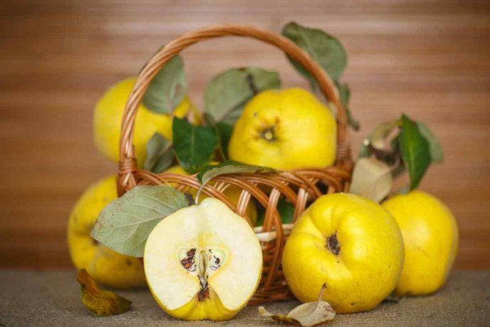 ¿Qué es el membrillo? Conoce la fruta detrás del ate