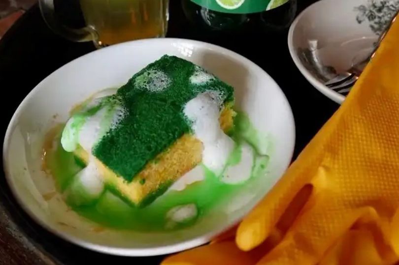 'World's most disgusting pudding' of dish sponges and washing up liquid ...