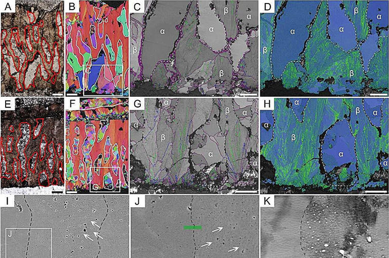 Dinosaur eggshell study confirms biogenic origin of secondary eggshell ...