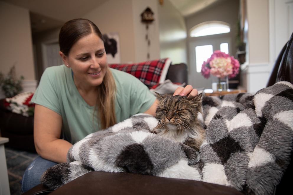 Cat who survived nearly 400-foot fall adopted by rescue pilot who saved her
