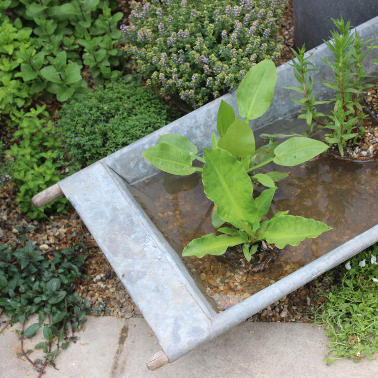 5 small garden pond ideas that will invite wildlife and waterscaping into even the tiniest space