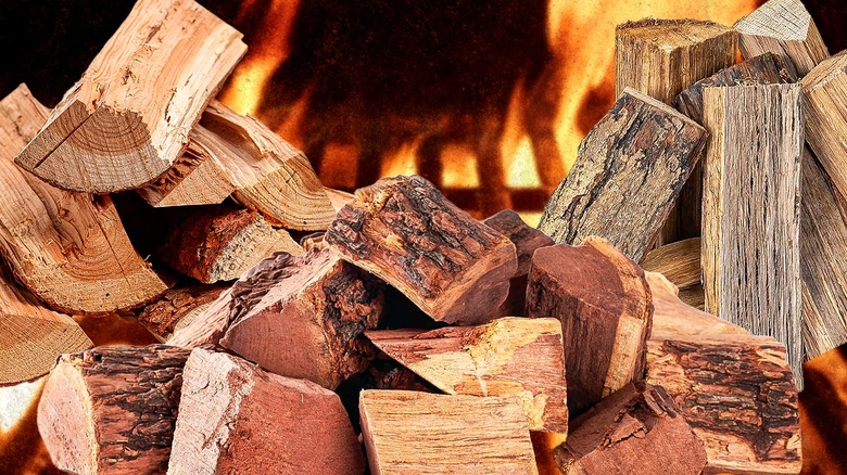 13 Absolute Best Types Of Wood To Use For Smoking And Grilling