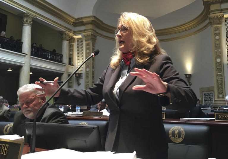 Who is Robin Webb? Democratic lawmaker switches party to become Republican