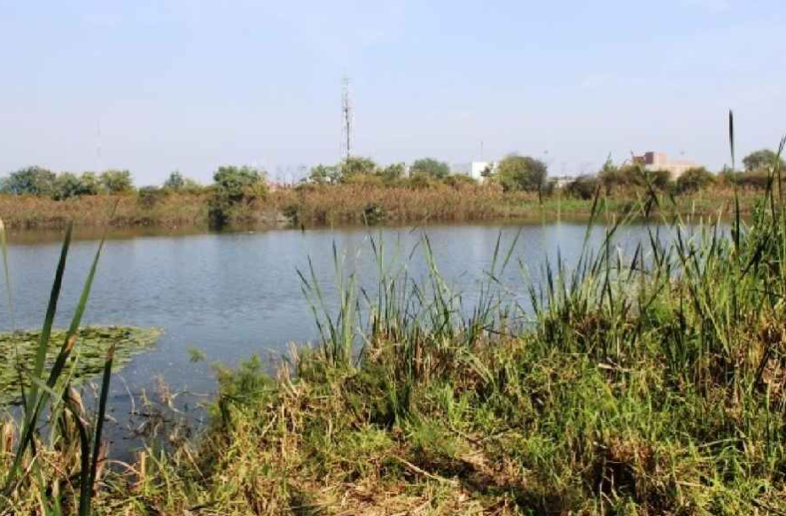 River pollution: Goa among 10 states yet to send info to NGT