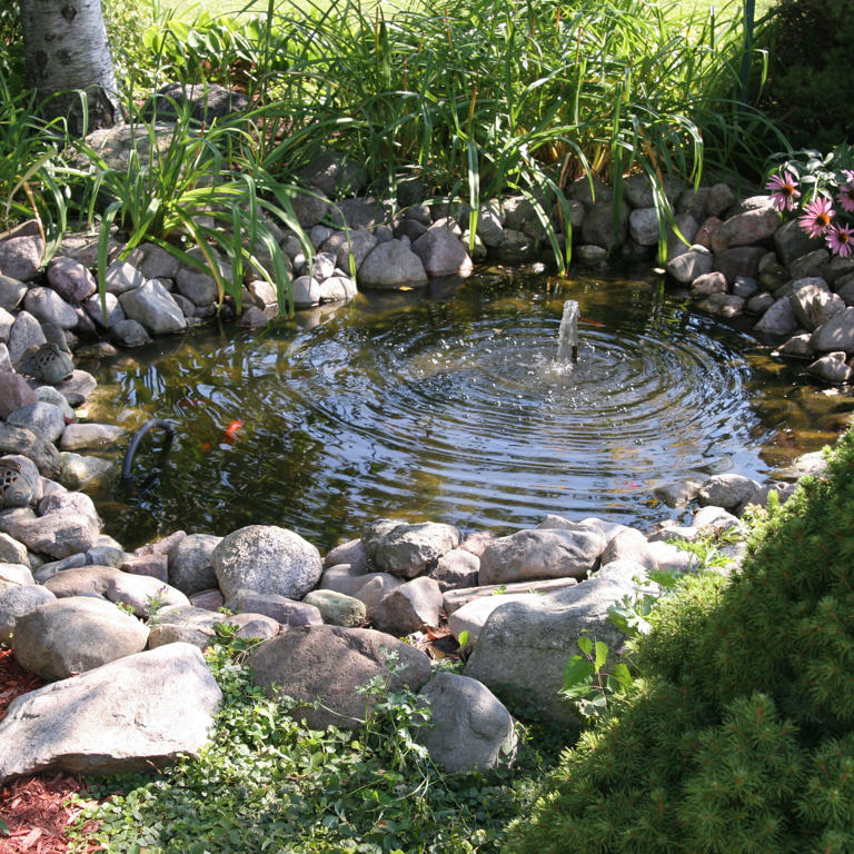 10 garden pond ideas for a tranquil, nature-friendly space