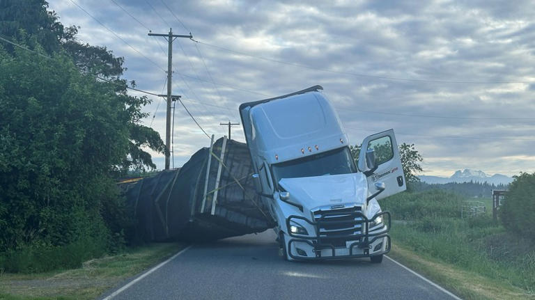 Truck Crash Unleashes 250 Million Bees In Northern Washington County