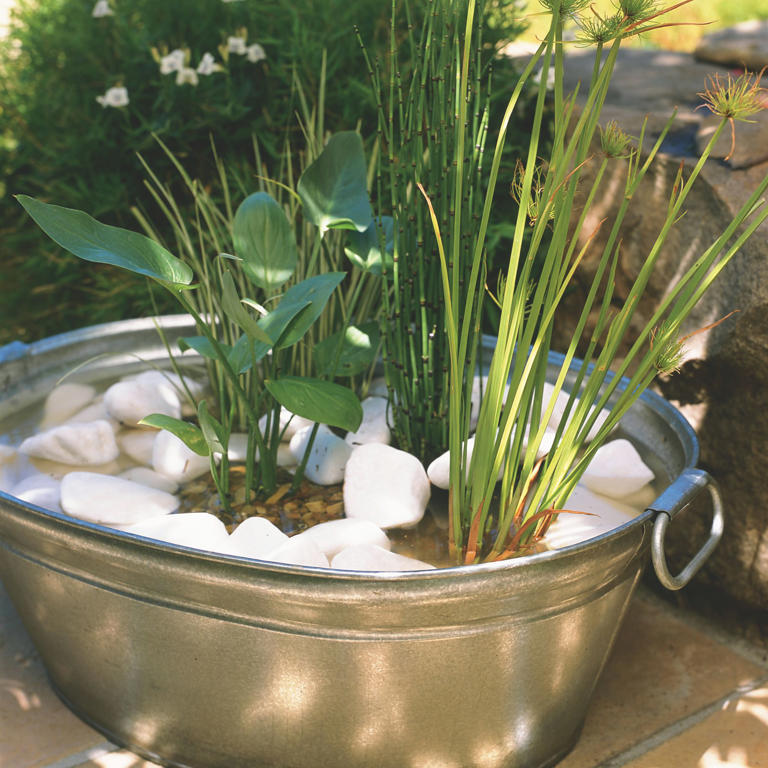 10 garden pond ideas for a tranquil, nature-friendly space