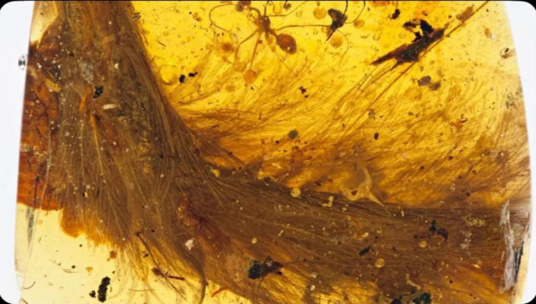 30 Fascinating Pictures From Around the Internet That Made Us Say “Whoa ...