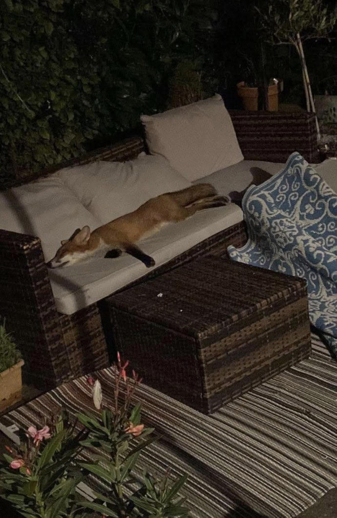 30 Fascinating Pictures From Around the Internet That Made Us Say “Whoa ...