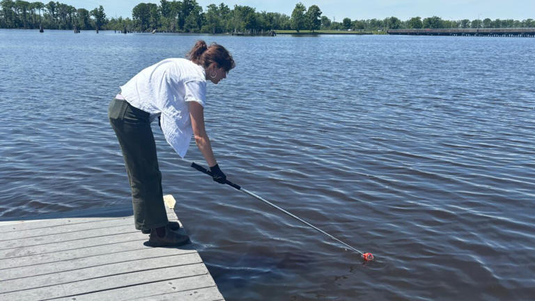 Three sites fail weekly water-quality test in the lower Neuse, Tar-Pamlico