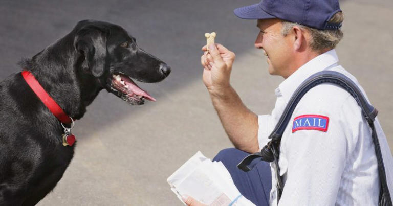 Los Angeles leads nation in dog attacks on postal workers, data shows