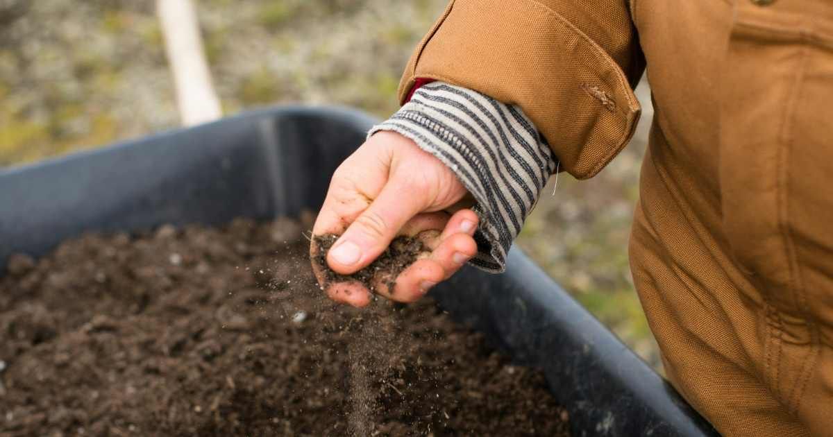 Some People Have a Unique Craving to ‘Eat’ Soil, They’ve Been Called ...