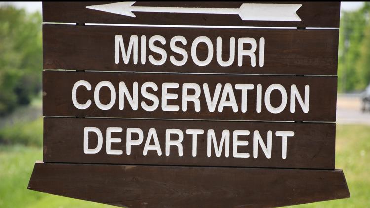 Social security, driver's license, and health data leaked in ...