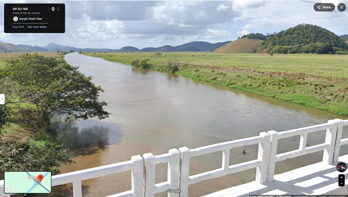 ‘Armored' creatures with ‘whip' tails and four other new species ...