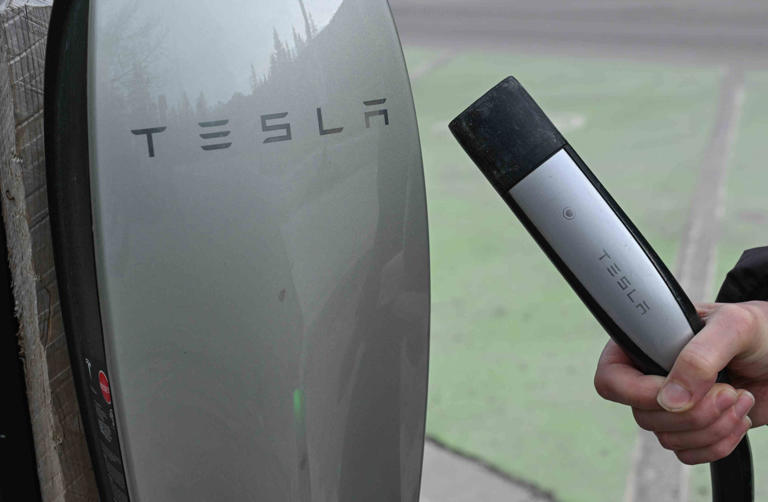 Tesla Stock Logs Weekly Gains, Second Straight Winning Month as Musk ...