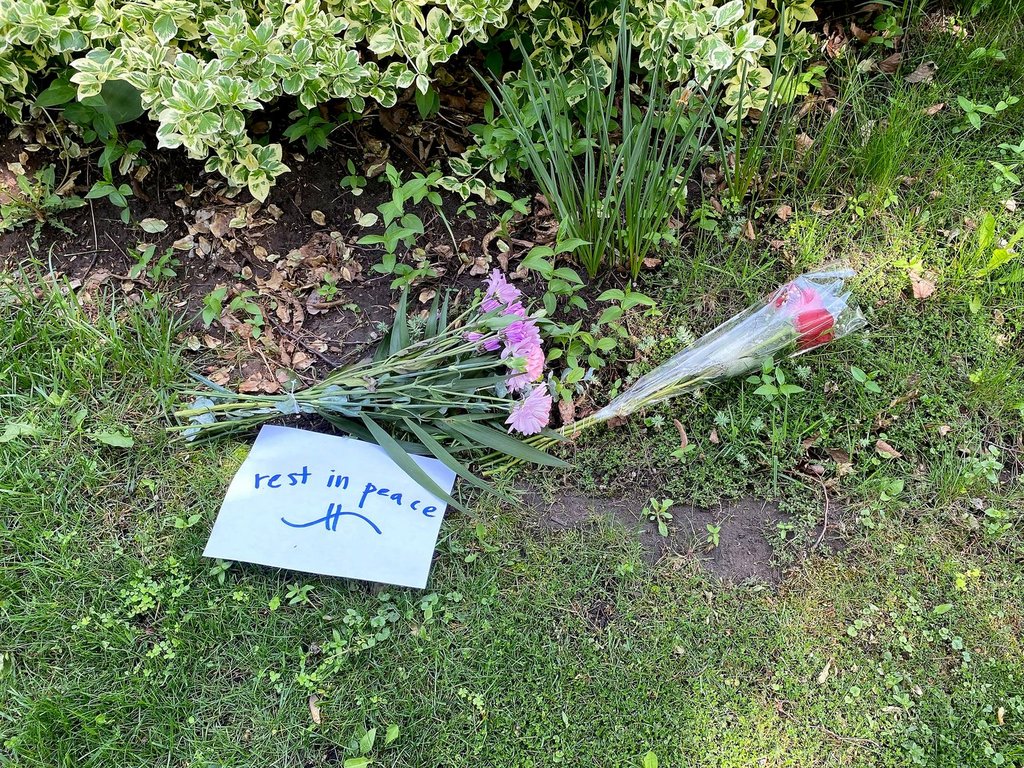 14-year-old charged with 1st-degree murder of elderly woman in ...