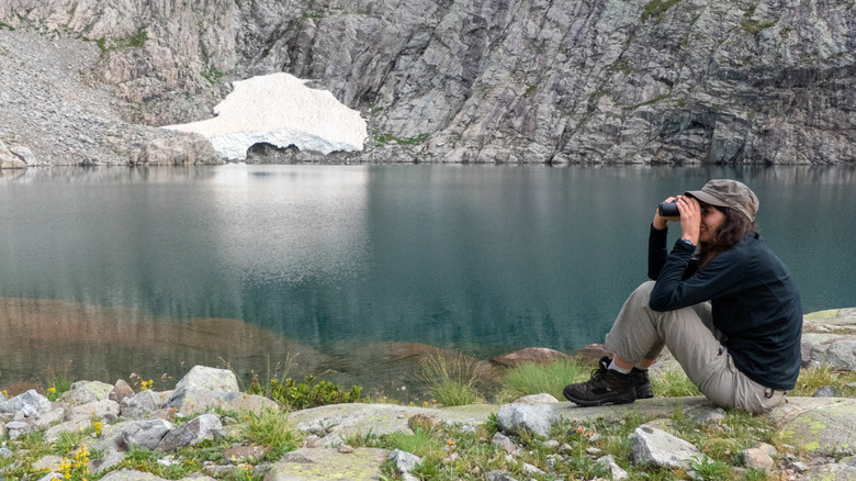 Unique Species To Look For On Your Next High-Altitude Adventure