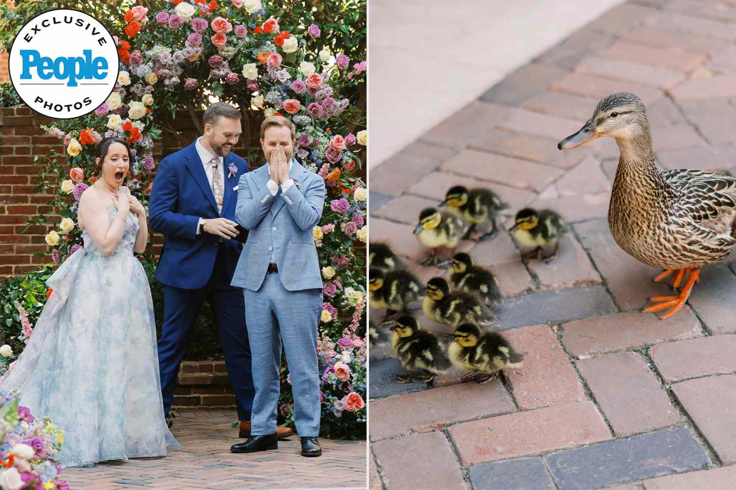 Adorable 'Little Duckling Parade' Crashes Wedding, Waddles Down Aisle ...