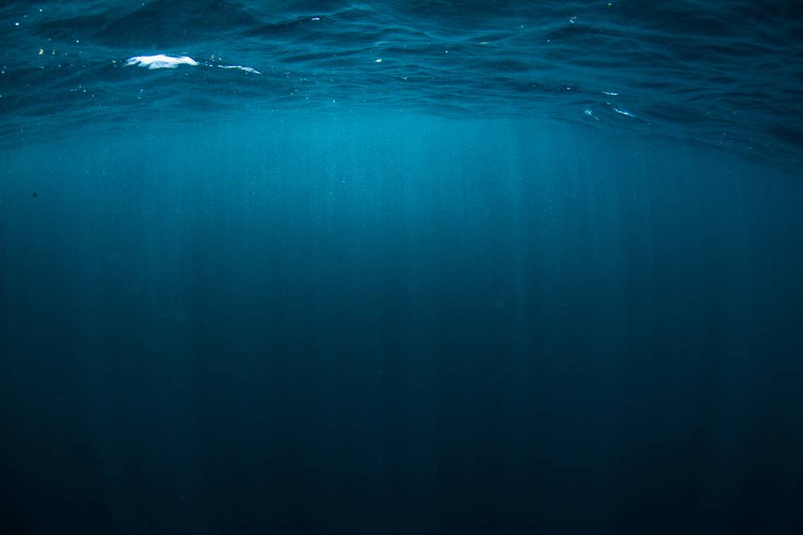 ‘Thunderous burst' from California water reveals sea creature ‘on the hunt'